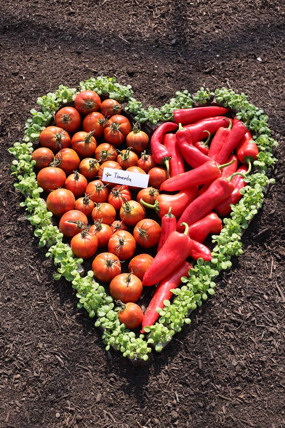 Retour en images sur le plus grand show de fruits et légumes en France ...