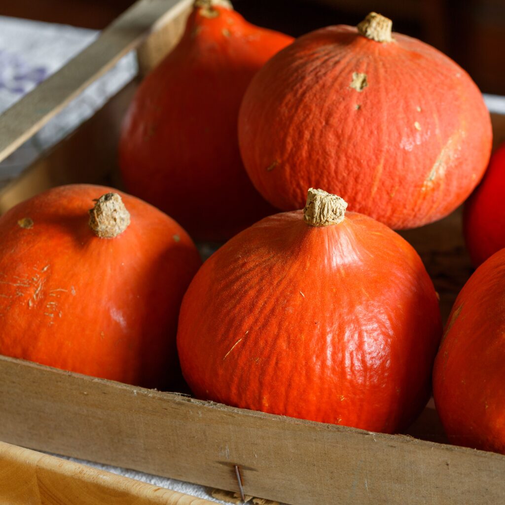 Les courges et potimarrons, les légumes caractéristiques de l'automne